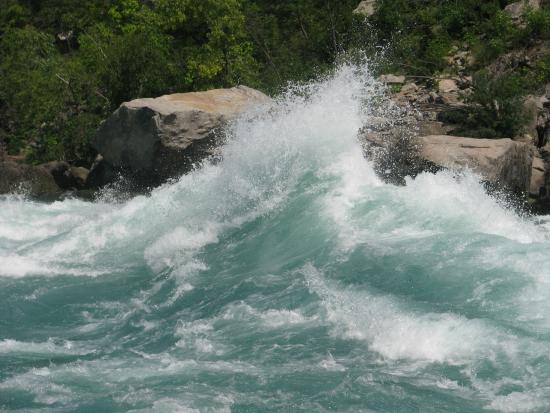 Thought for the Day – Devoted Steps